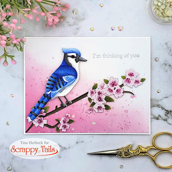 Layering Blue Jay Craft Metal Die Set – Scrappy Tails Crafts